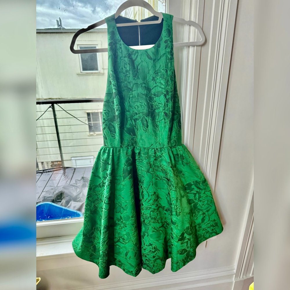 Beautiful Bright Emerald Green Alice And Olivia Dress - Gem